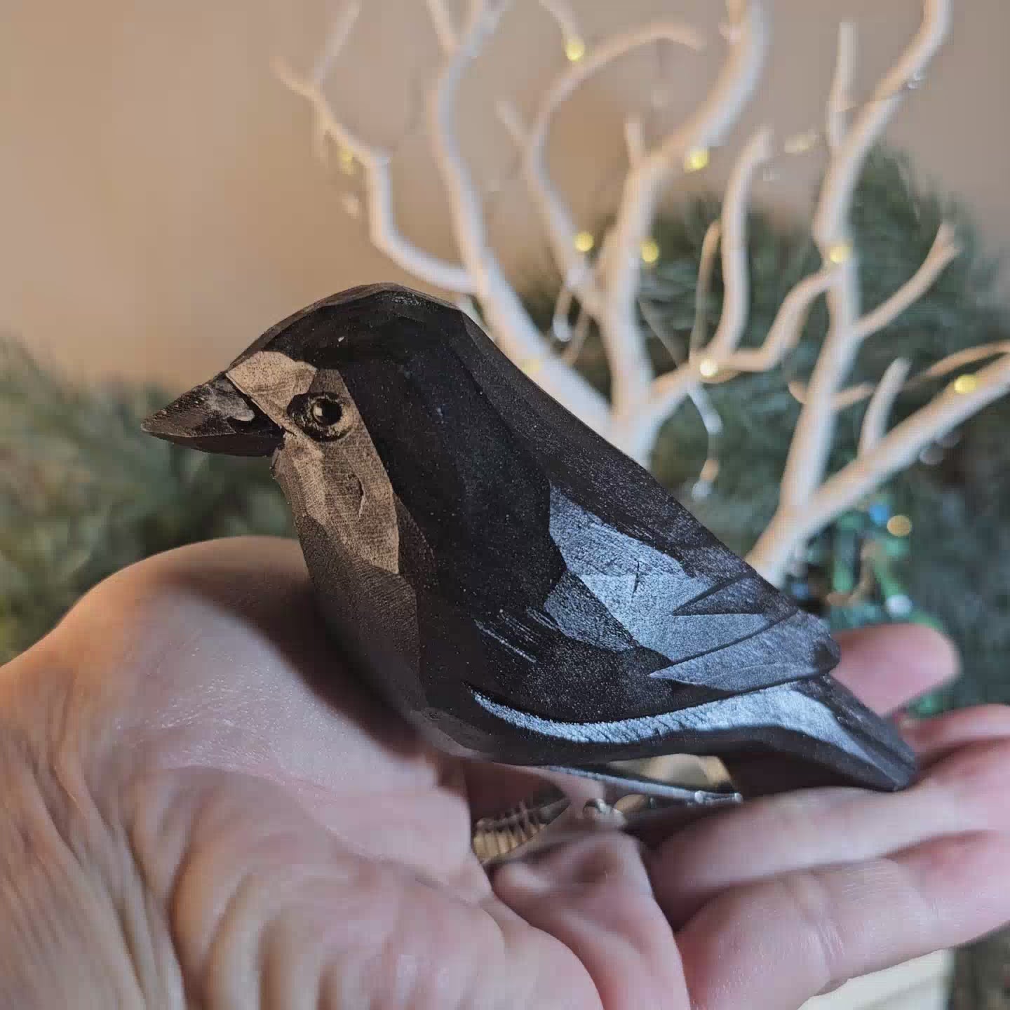 The Fascinating World of Crow Eyes: What Makes Them So Special ...